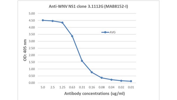 Anti-West Nile Virus/Kunjin Antibody, NS1 Antibody, clone 3.1112G ...